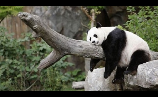 Bunalımdaki İnsan Davranış Bilimini Özetleyen 9 Madde | ListeList.com