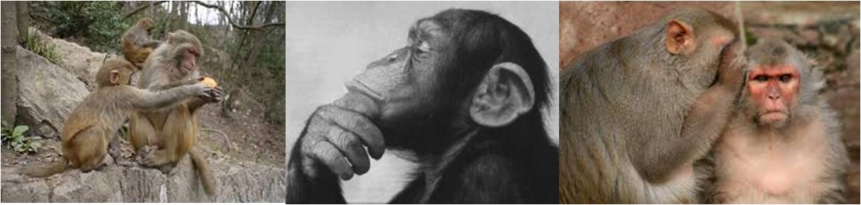 Dünyayı Tek Başımıza Değiştirebileceğimizi Kanıtlayan Bir Deney: 100 ...