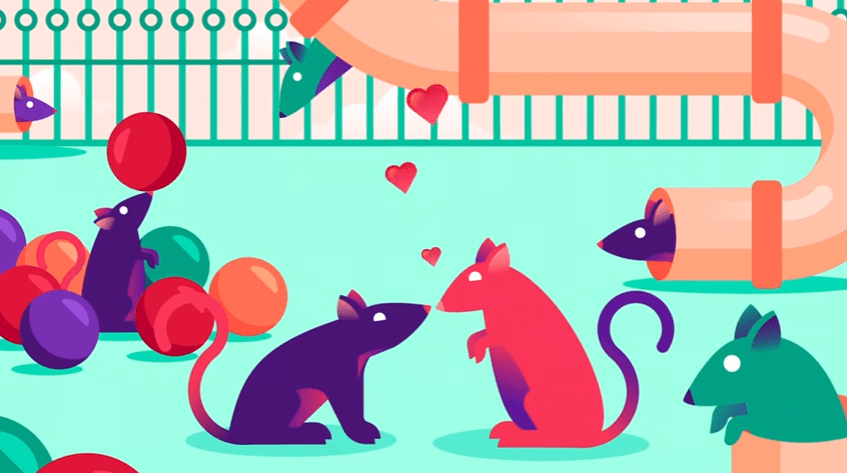 Uyuşturucu Bağımlılığıyla İlgili Bildiklerinizi Kökten Değiştirecek Bir ...