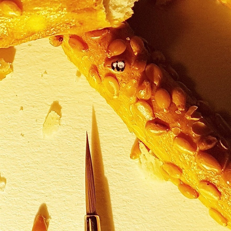 Ustalığı Detaylarda Saklı Ressam Hasan Kale ve Dünyanın En Minik Sanat ...