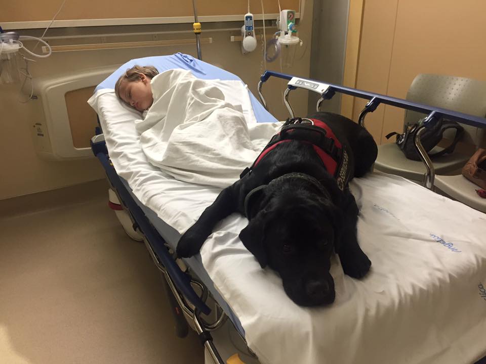 Diyabet Hastası Küçük Luke ile Ona Hayat Veren Kahraman Köpek Jedi'nin ...