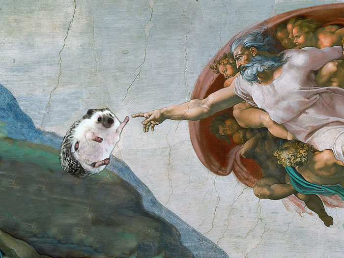 Dünyayı Kurtaran Süper Kirpi'nin Fantastik Dünyasından 27 Muazzam Kesit ...