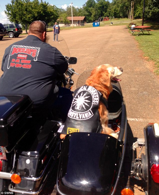 3 Ay Ömrü Kalan Köpeğinin Son Günlerini Mutlu Geçirten Ailenin Dopdolu ...