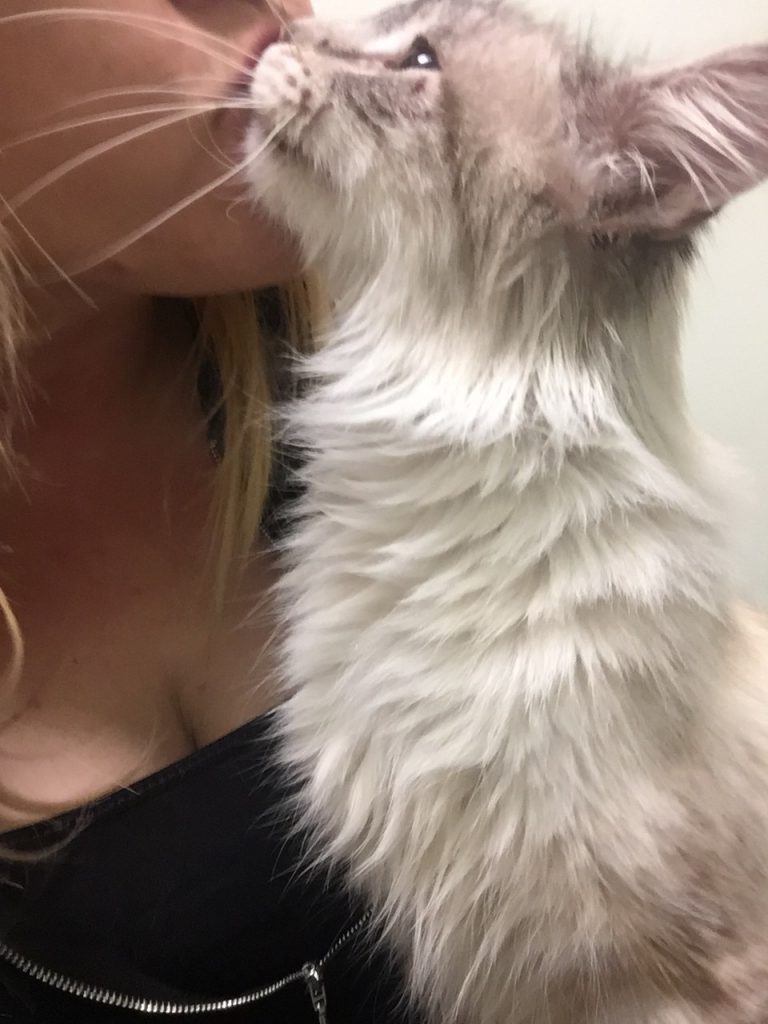 15 Yıllık Kedisini Kaybeden Kadının Aynı Gün Hayatını Değiştiren ...