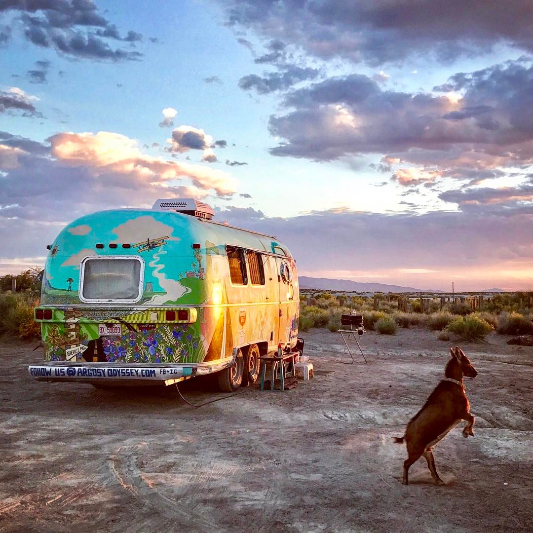 Dünyanın En Havalı ve Maceraperest Keçisi: Frankie Rae | ListeList.com