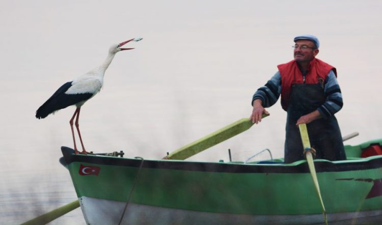 Her Sene Aynı Yerde Buluşan Adem Amca ve Yaren Leylek'in Öyküsü