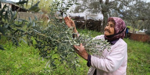 102 Yaşında Üretmeye ve Çiftçilik Yapmaya Devam Eden Yörük Ninesi ...