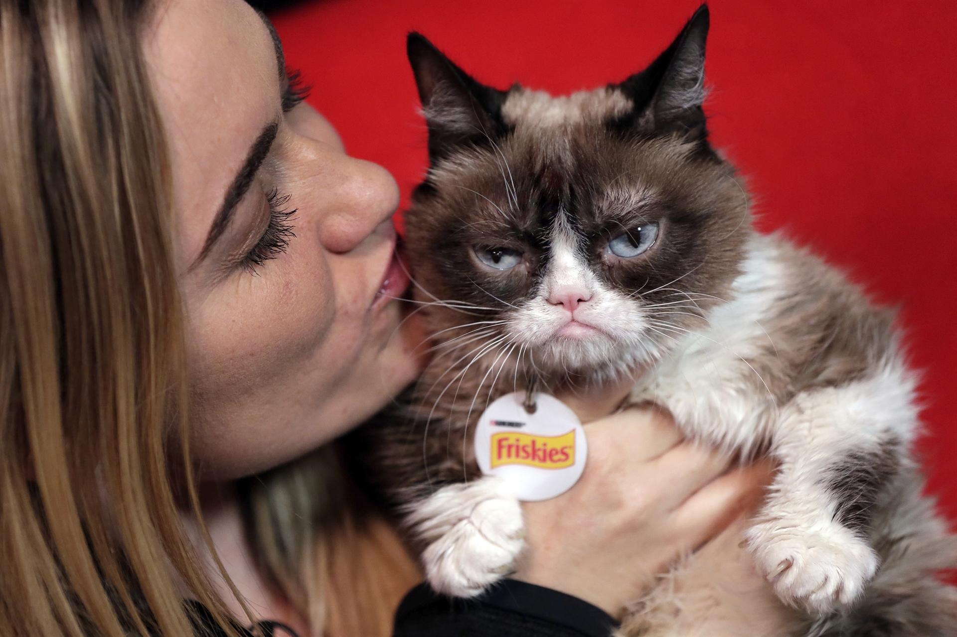 İnternetin Göz Bebeği "Grumpy Cat" Hayata Gözlerini Yumdu