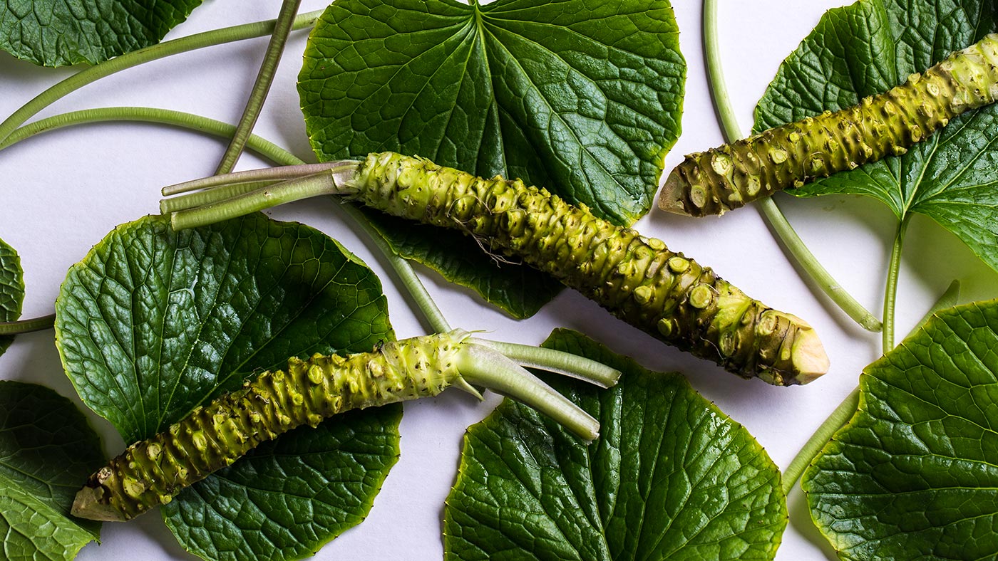Japon Turpu Olarak da Bilinen Wasabi Hakkında 9 Şaşırtıcı Bilgi