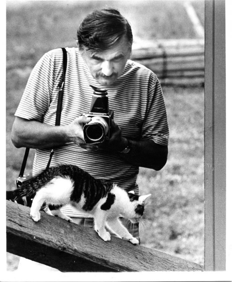 Ömrü Boyunca Doksan Bin Kedi Fotoğraflayan Efsane: Walter Chandoha