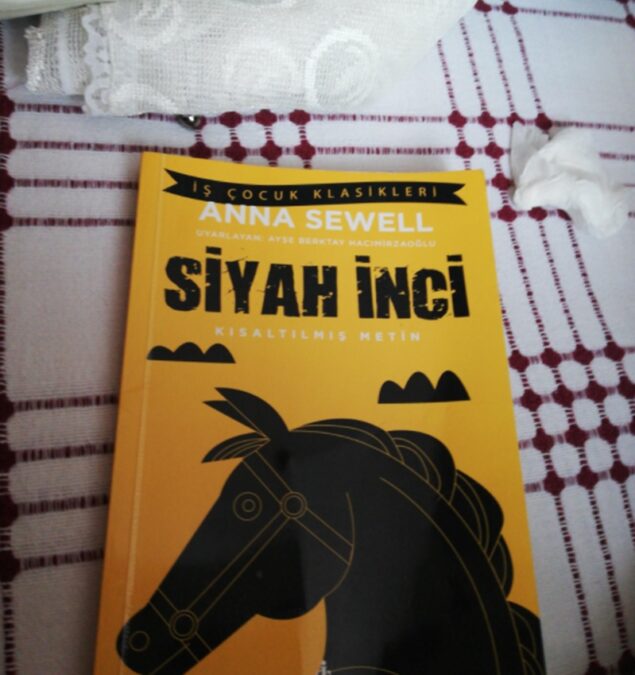 En Çok Okunan Kitaplar: Okumayı Sevenler ve Yeni Başlayanlara 32 Kitap
