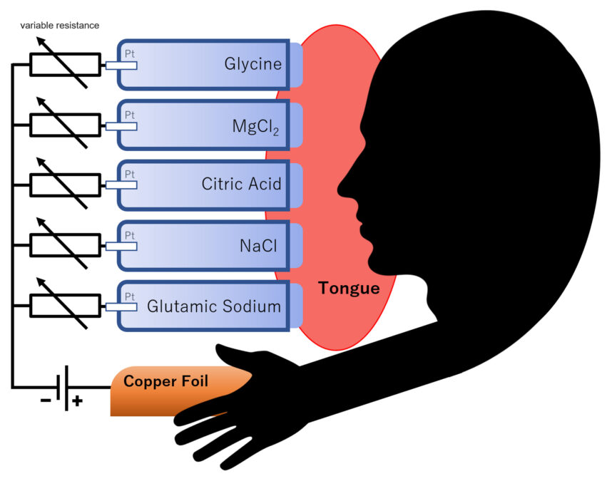 Bilim İnsanları Herhangi Bir Lezzeti Taklit Edebilen Cihaz Geliştirdi