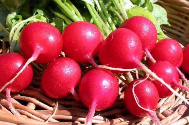 Mutfağınızda Yetiştirebileceğiniz 9 Harika Yenilebilir Bitki