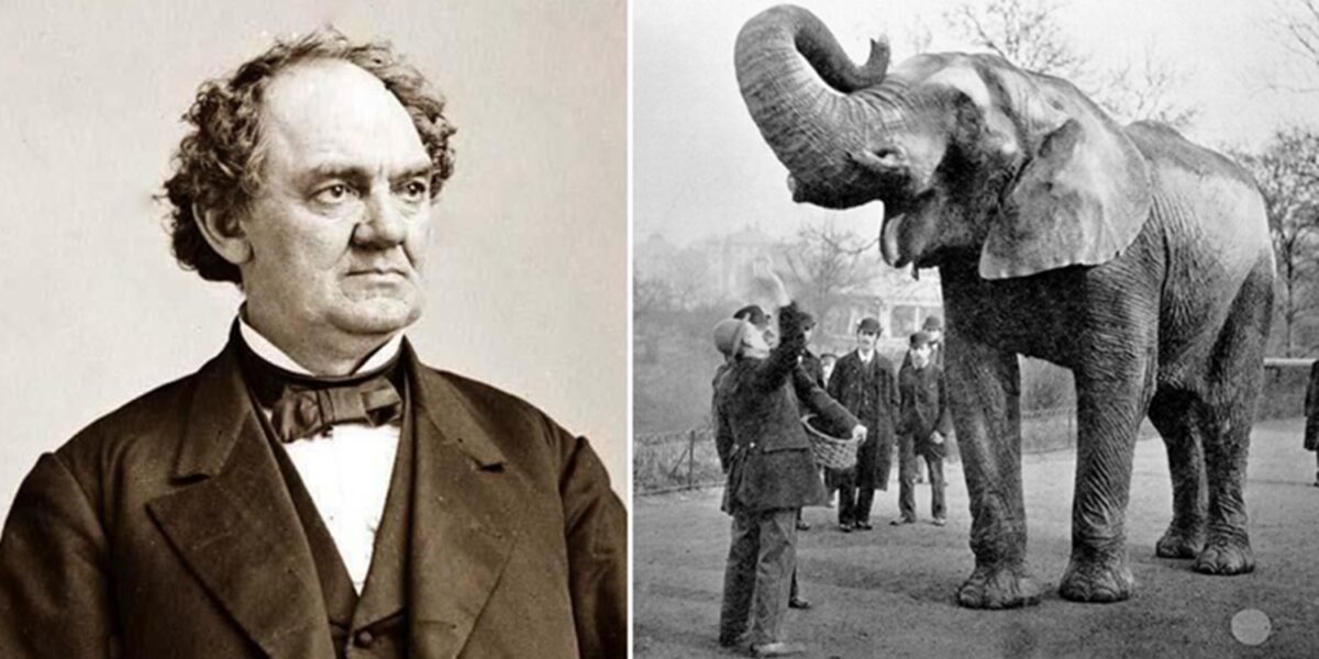 PT Barnum ve Dünyanın En Büyük Sirki Hakkında Bilmeniz Gerekenler