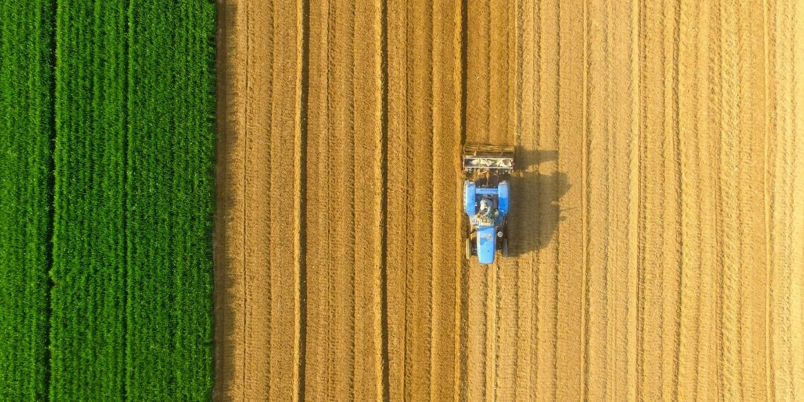 Sağlıklı Olduğuna İnandığı İçin İdrarını İçip Yüzüne Süren Harry Matadeen