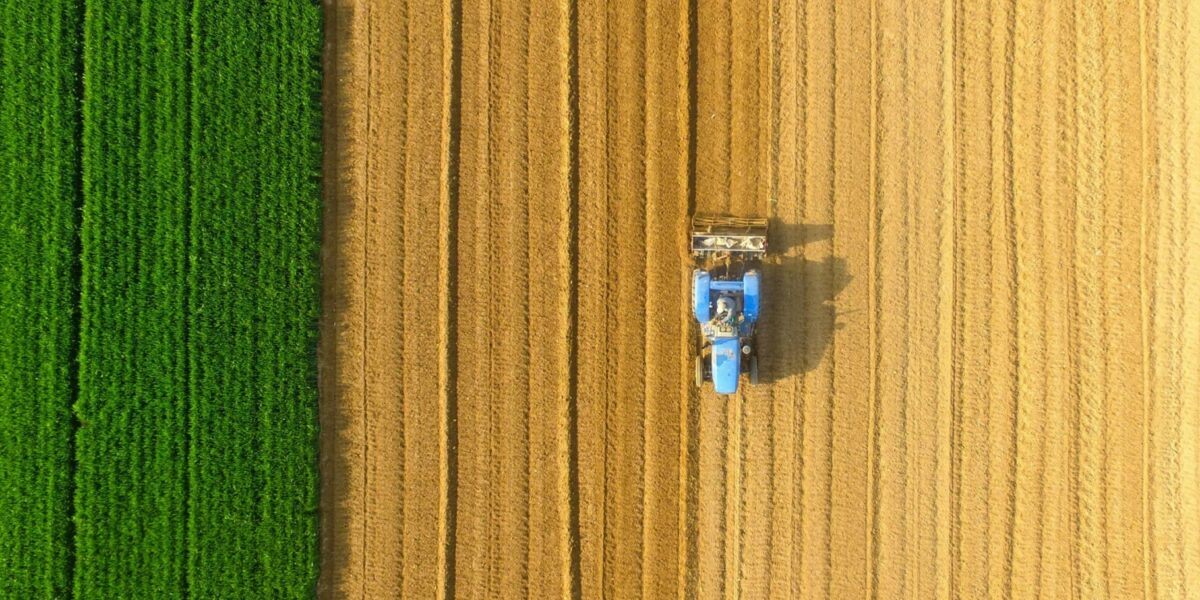 Sağlıklı Olduğuna İnandığı İçin İdrarını İçip Yüzüne Süren Harry Matadeen