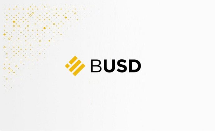 BUSD Nasıl Alınır? | ListeList.com