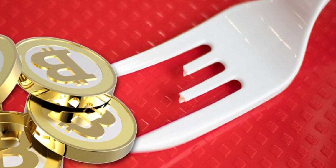 Blok Zincirinde Kalıcı Bir Bölünmeye Sebep Olan Hard Fork Nedir ...