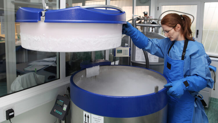 Beden Dondurma İşlemi Cryonics Hakkında Bilmeniz Gerekenler
