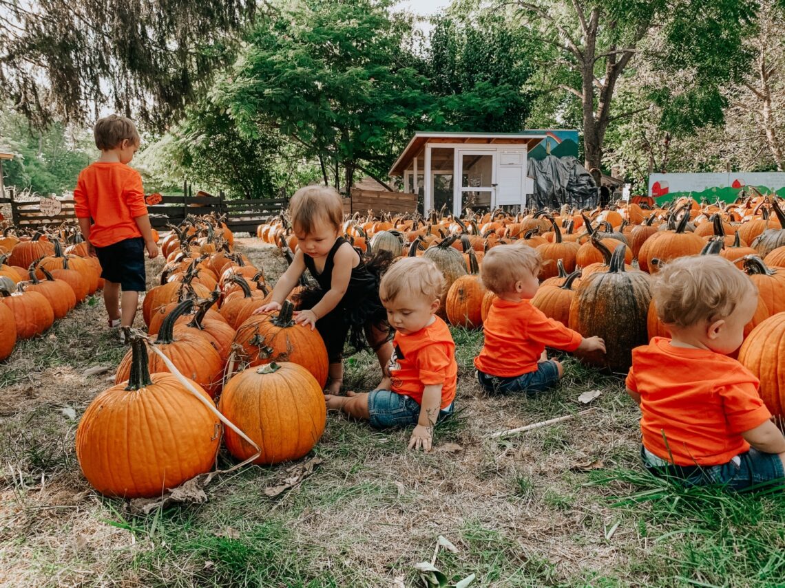 Seni Leylekler Getirdi Efsanesi Nasıl Ortaya Çıktı? | ListeList.com