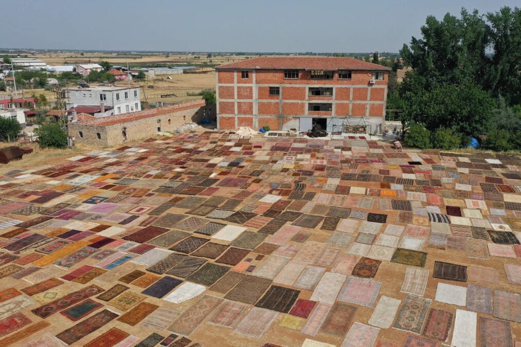 Antalya'nın Muhteşem Güzellikteki Halı Tarlaları Hakkında Bilmeniz ...