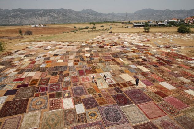Antalya'nın Muhteşem Güzellikteki Halı Tarlaları Hakkında Bilmeniz ...