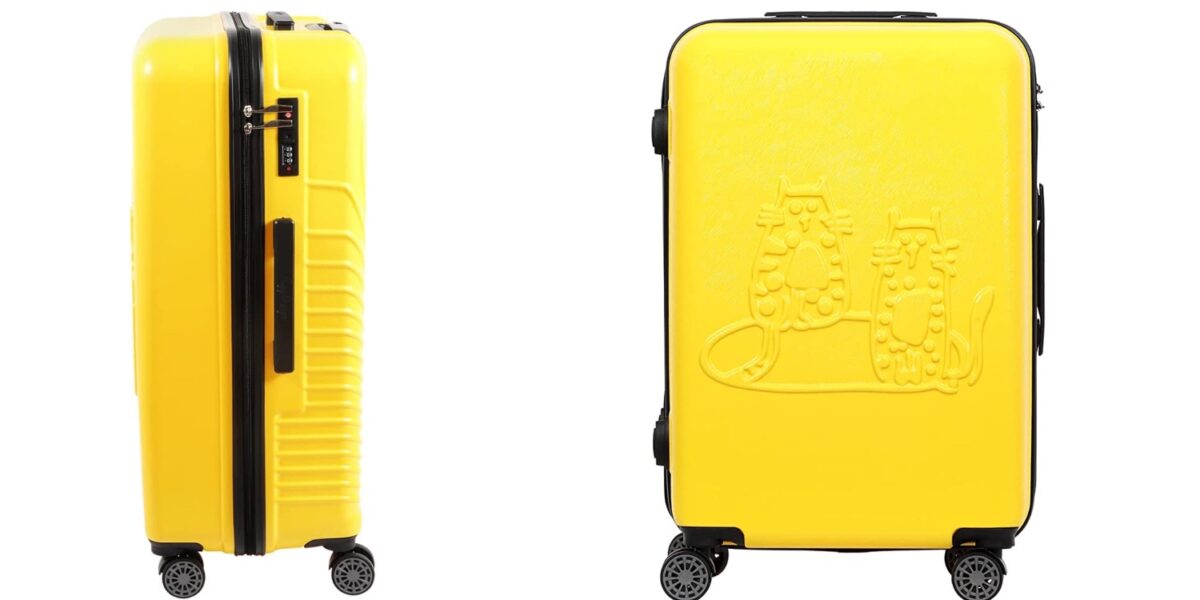 Tatil Planı Yapanlar Buraya! İşte En Kullanışlı Valiz Modelleri