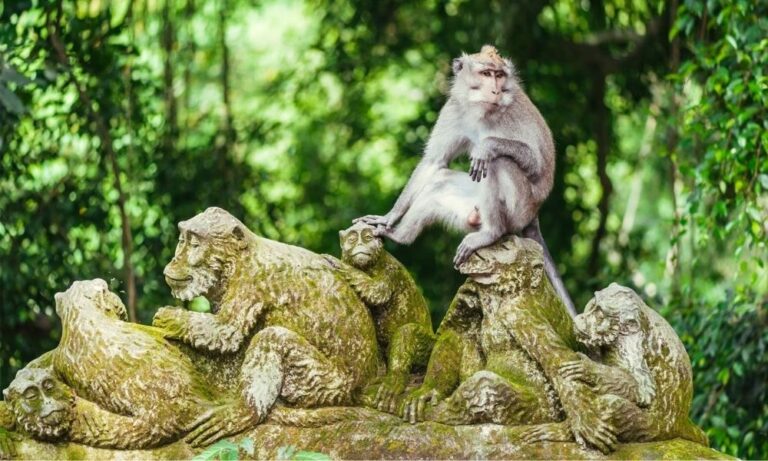 Bali Hakkında Bilmeniz Gereken 15 Gerçek | ListeList.com