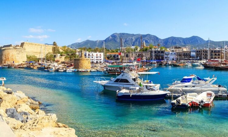 Konusu, Okuyucu Yorumları, Özeti: Kayıp Ağaçlar Adası Kitap Analizi