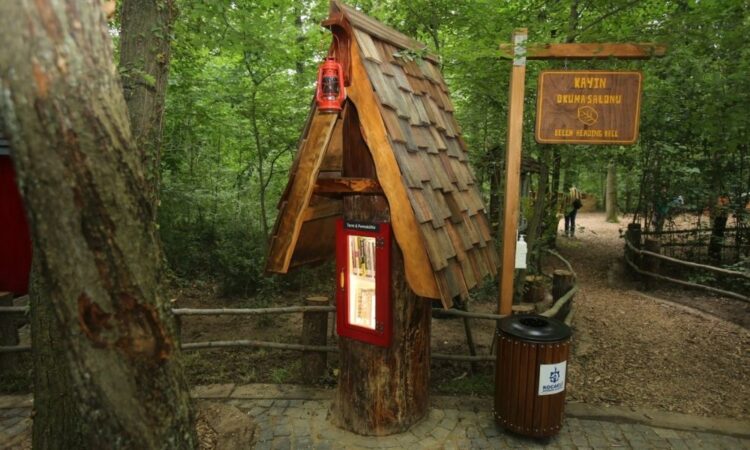 Ormanya Tabiat Parkı: Nasıl Gidilir, Neler Yapılır? | ListeList.com