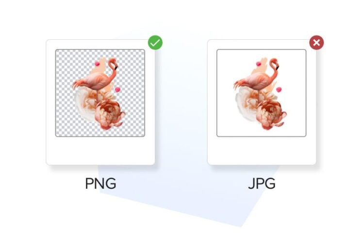 JPEG Ve PNG Nedir? Hangi Görüntü Formatını Kullanmalısınız?