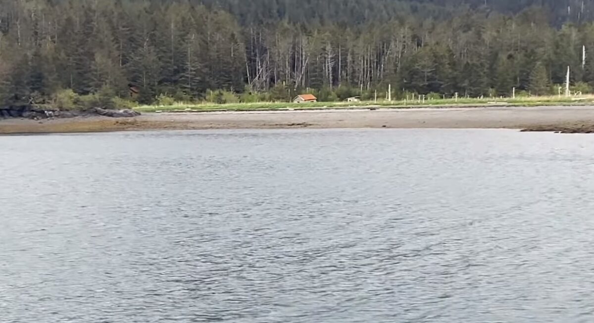 Korkunç Bir Canavar Yüzünden Terk Edilen Yerleşim Yeri: Portlock Kasabası