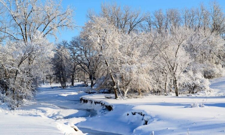 Kar Hakkında Muhtemelen Daha Önce Duymadığınız 18 "Soğuk" Gerçek