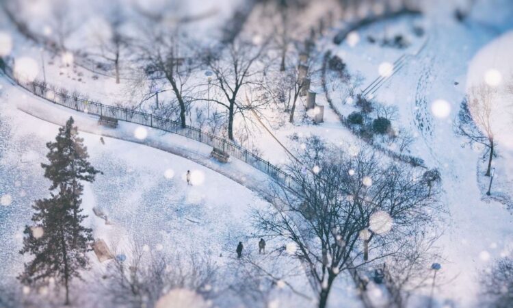 Kar Hakkında Muhtemelen Daha Önce Duymadığınız 18 "Soğuk" Gerçek