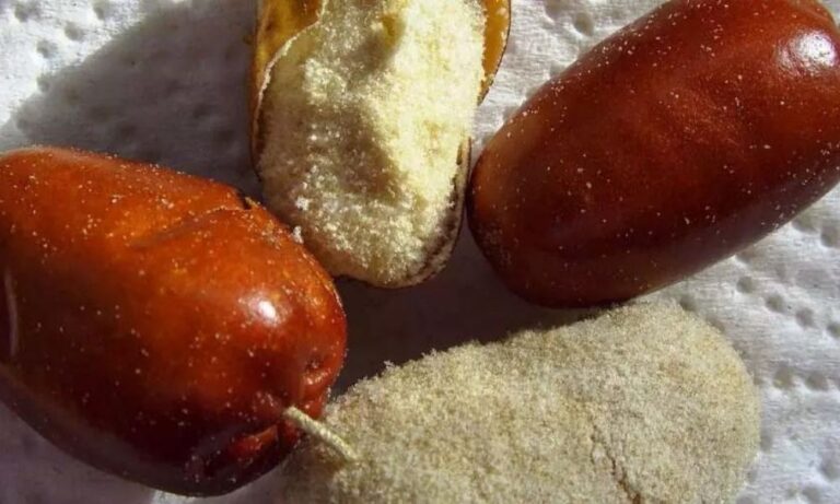 Faydaları Saymakla Bitmiyor! İğde Tozu Nedir, Faydaları Nelerdir?