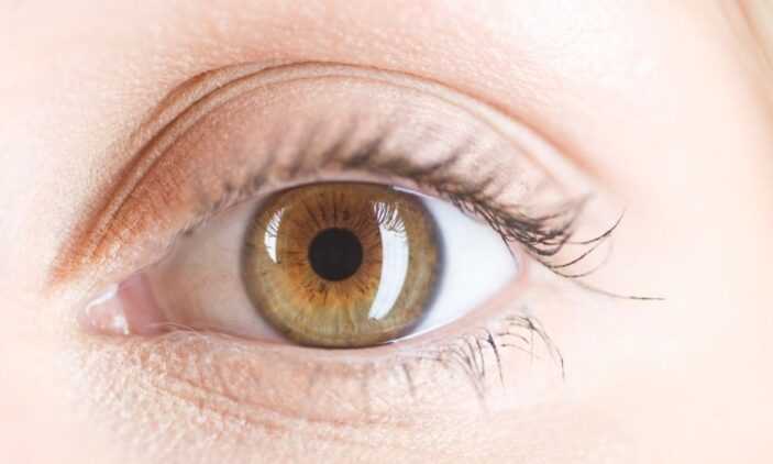 Ela Rengi Hakkında 10 Şaşırtıcı Gerçek | ListeList.com