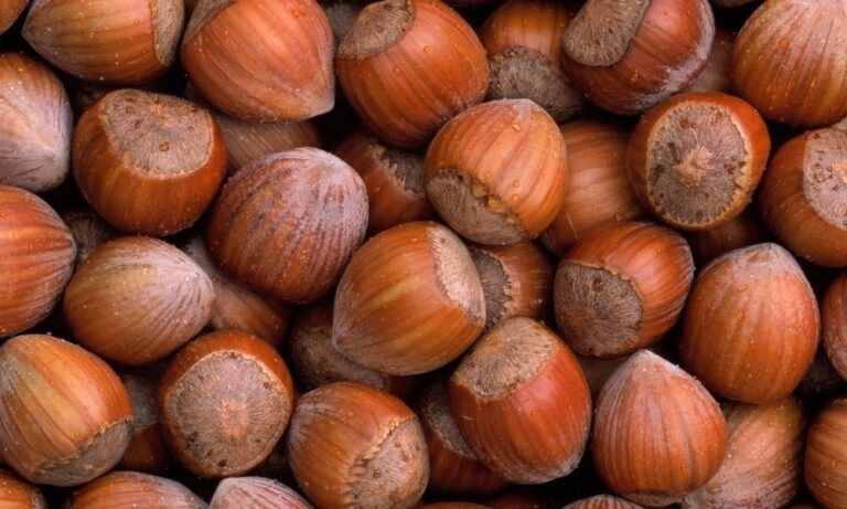 Ela Rengi Hakkında 10 Şaşırtıcı Gerçek | ListeList.com