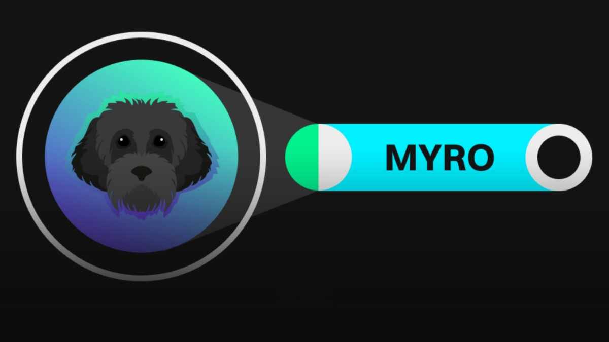 2024 Yılının En Gözde 10 Meme Coini | ListeList.com