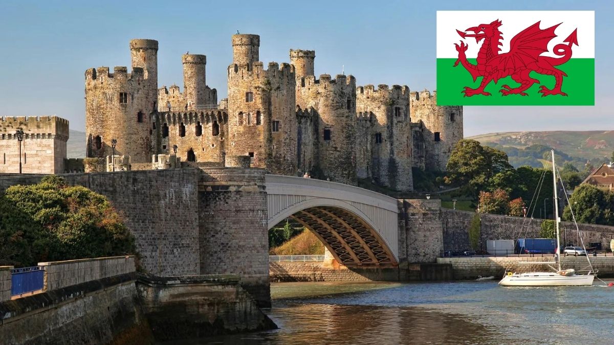 Galler Hakkında Duyunca Çok Şaşıracağınız 25 Bilgi | ListeList.com