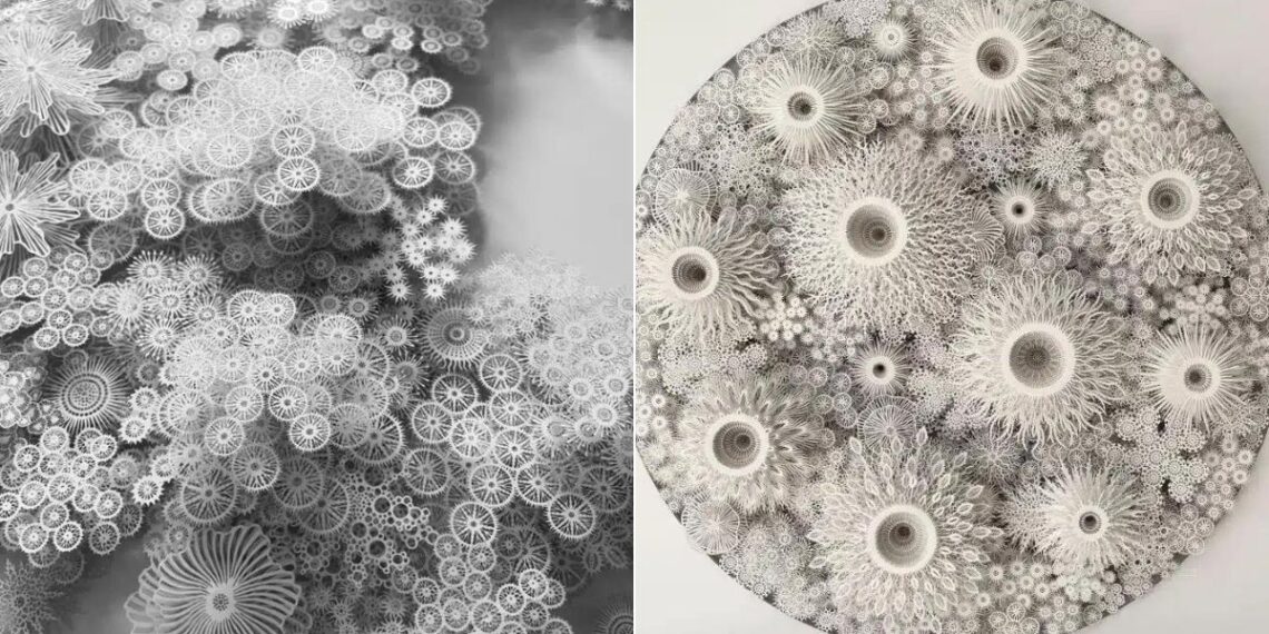 Rogan Brown Eserleri: Doğadaki Şekillerden İlham Alan Sanatçı