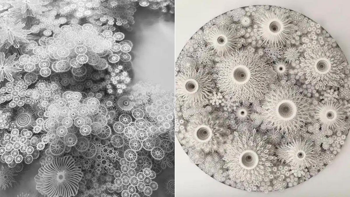 Rogan Brown Eserleri: Doğadaki Şekillerden İlham Alan Sanatçı