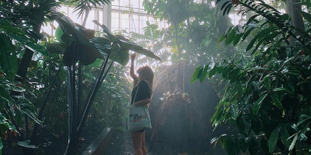 Türkiye'de Görülmesi Gereken 8 Botanik Bahçe | ListeList.com