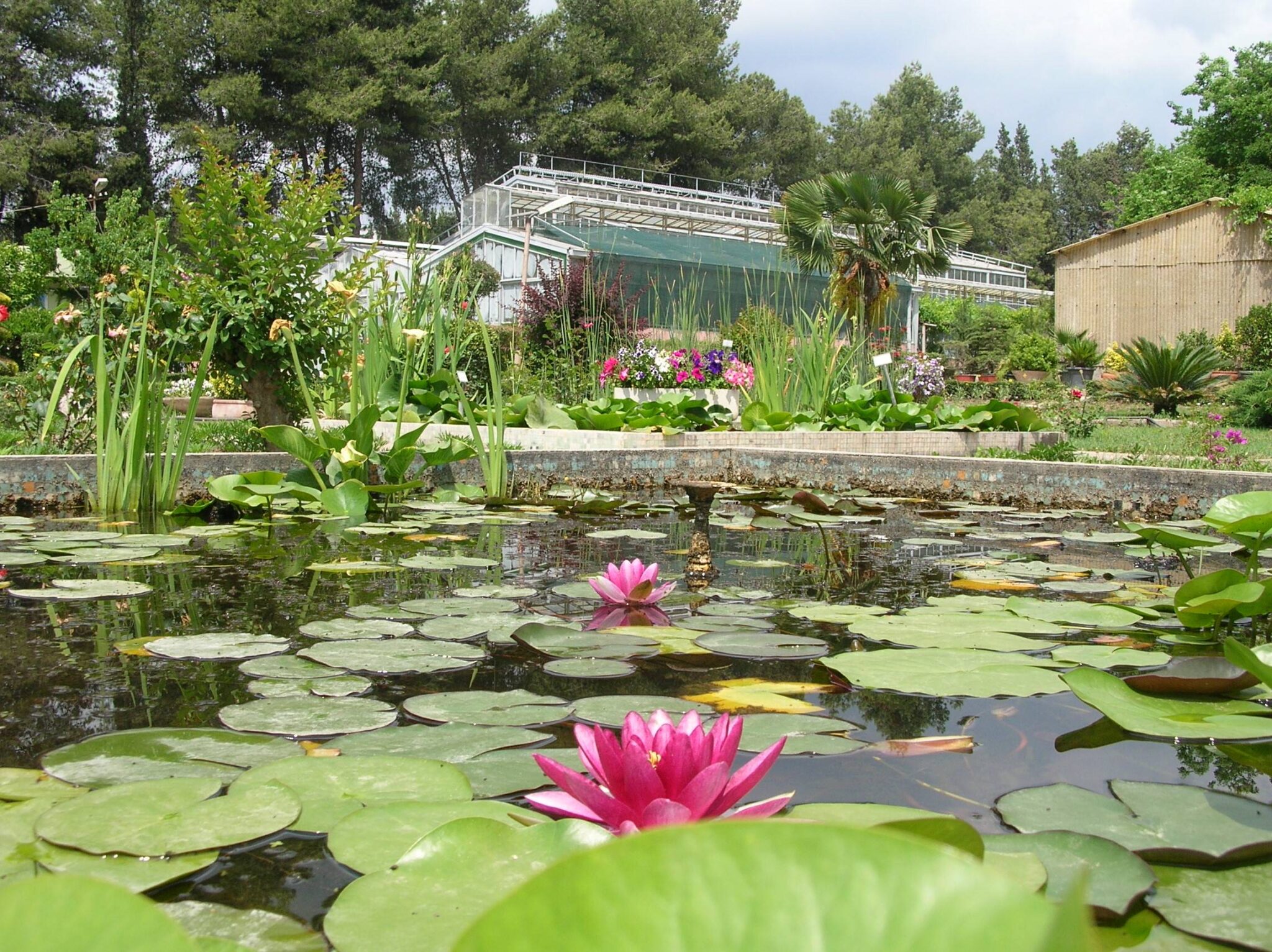 Türkiye'de Görülmesi Gereken 8 Botanik Bahçe | ListeList.com
