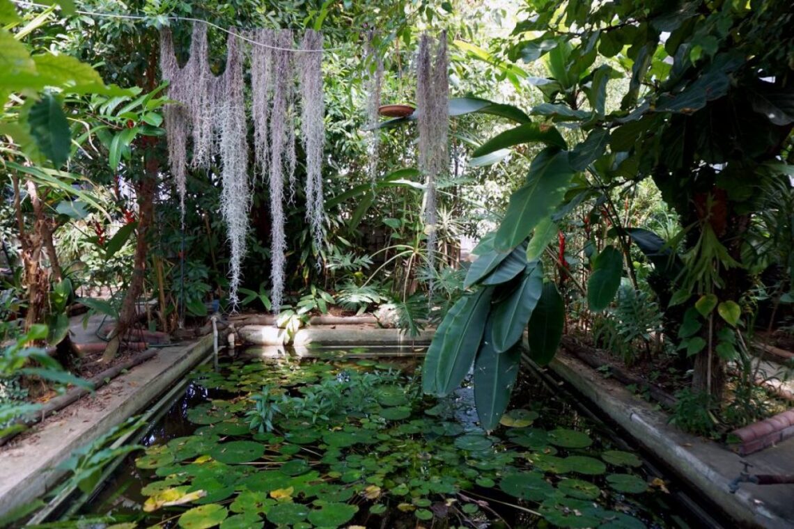 Türkiye'de Görülmesi Gereken 8 Botanik Bahçe | ListeList.com