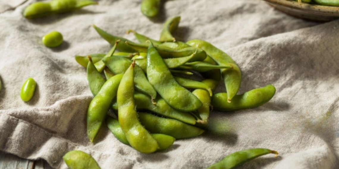 Soya Fasulyesi ile Hazırlayabileceğiniz Birbirinden Lezzetli Tarifler
