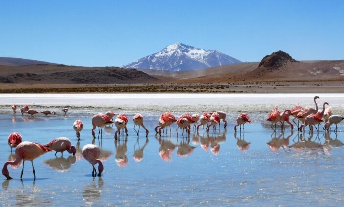 Temas Kurulmayan Kabilelere Ev Sahipliği Yapan 10 Ülke