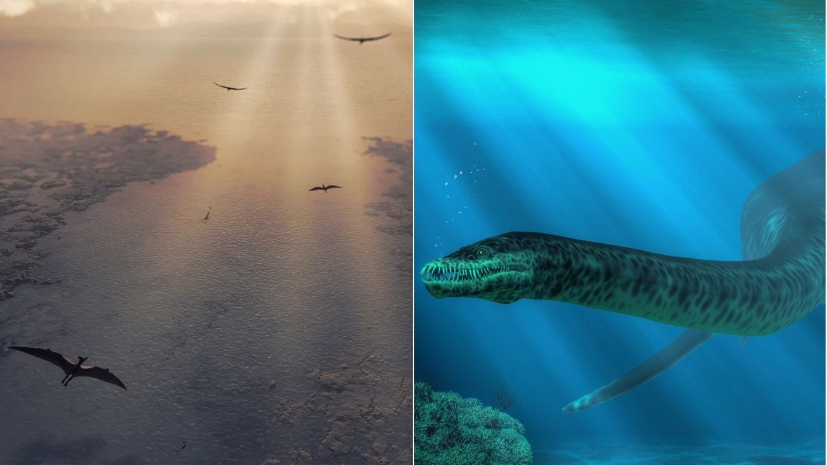 Tetis Denizi: Ne Zaman ve Nasıl Oluştu? | ListeList.com