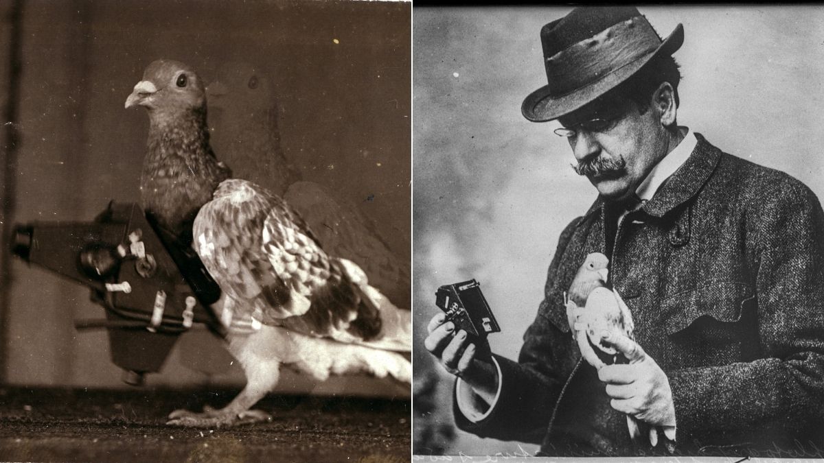 Julius Neubronner: Güvercinlere Kamera Takarak Hava Fotoğrafları Çeken ...